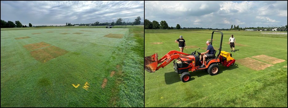 Research Spotlight: Purdue Turfgrass Pathology Update (Fall 2023 ...