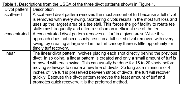 Research Spotlight: Divot Pattern Study (Spring 2024) – Midwest ...