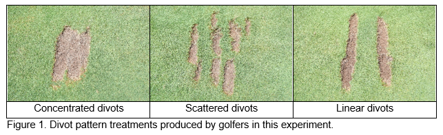 Research Spotlight: Divot Pattern Study (Spring 2024) – Midwest ...