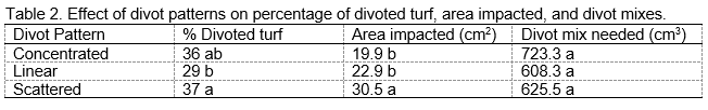 Research Spotlight: Divot Pattern Study (Spring 2024) – Midwest ...