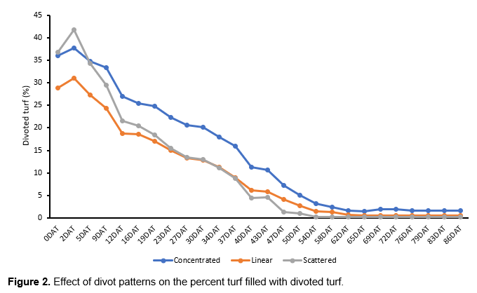 Research Spotlight: Divot Pattern Study (Spring 2024) – Midwest ...